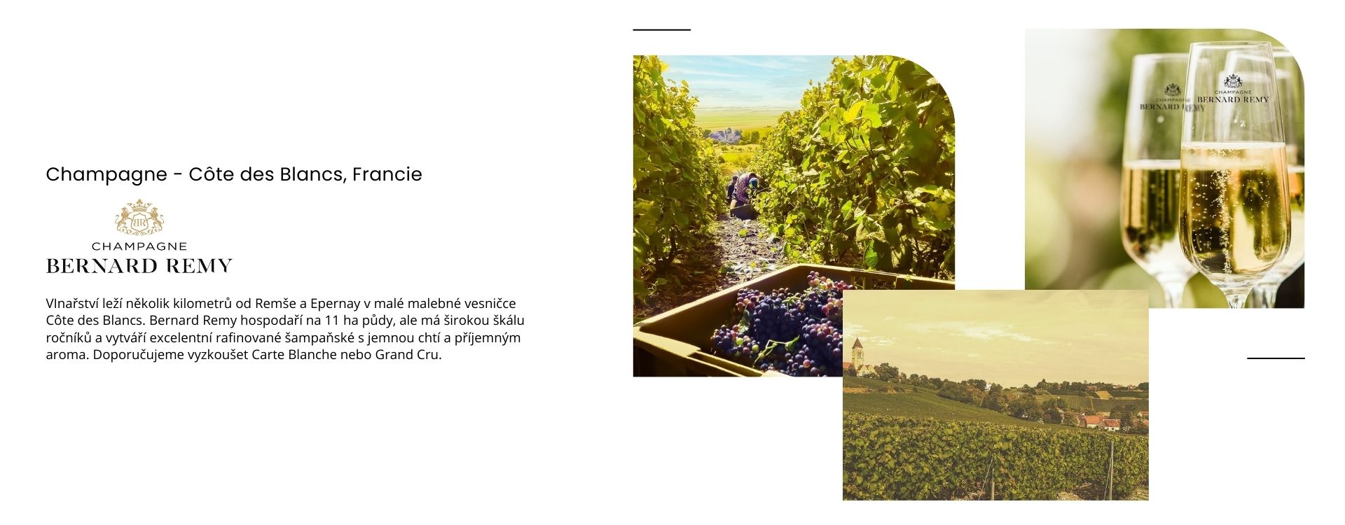 Bernard Remy | Aperittivo.cz
