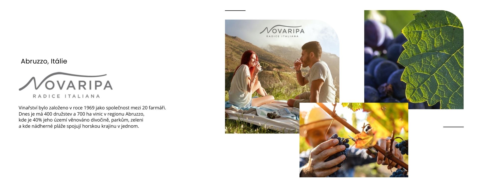 Novaripa | Aperittivo.cz